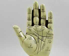 Certificate in Palmistry Online Course Certification
